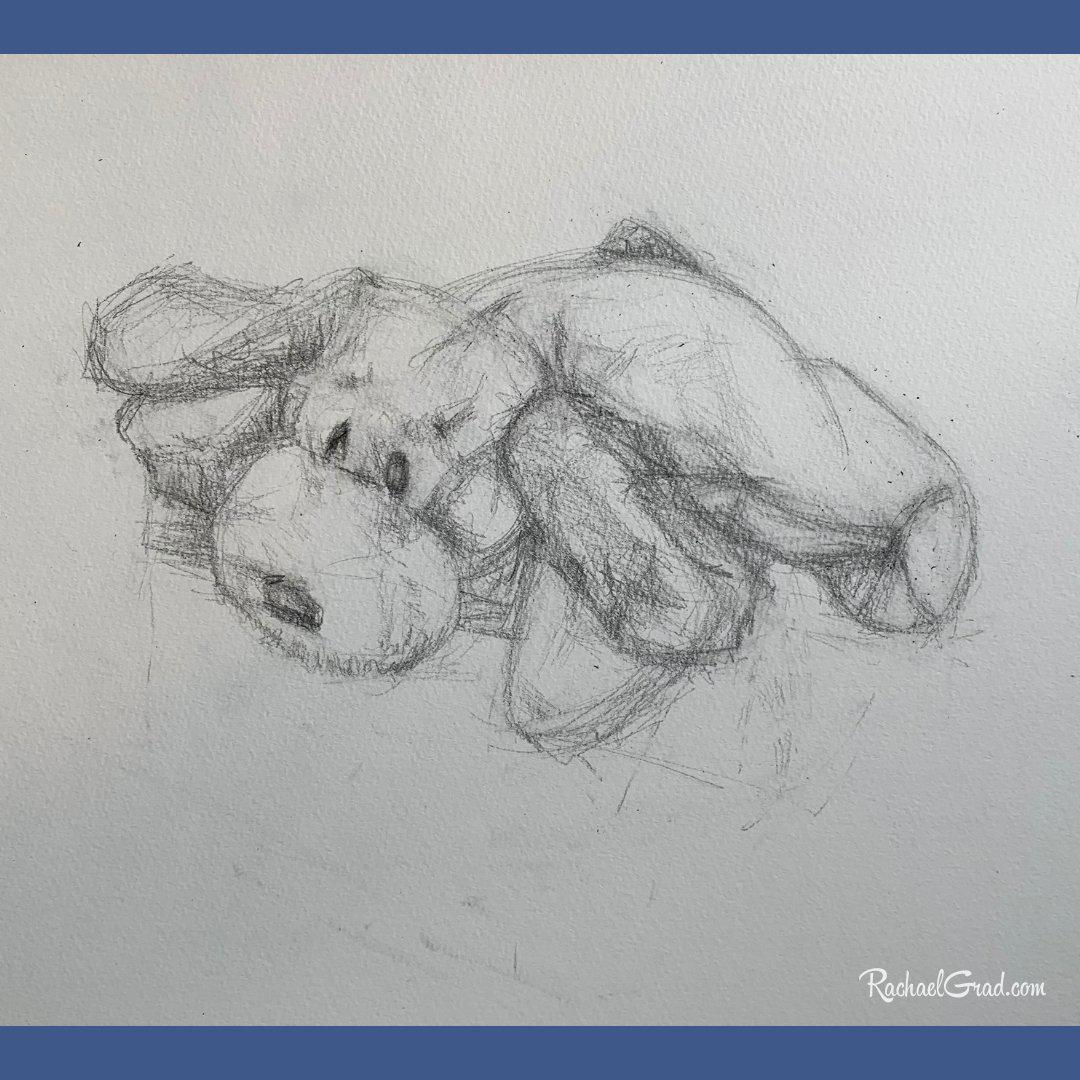 stuffed toy dog resting Pencil Drawing by Toronto Artist Rachael Grad